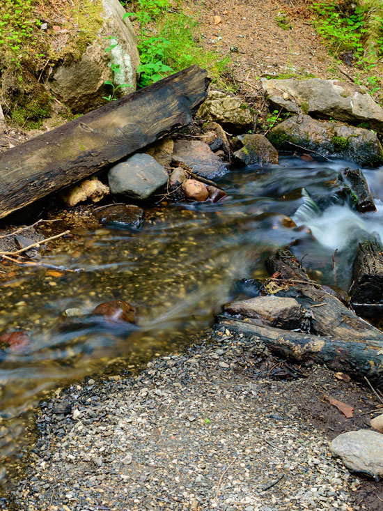 Stream Mitigation - Doss Enterprises : Doss Enterprises